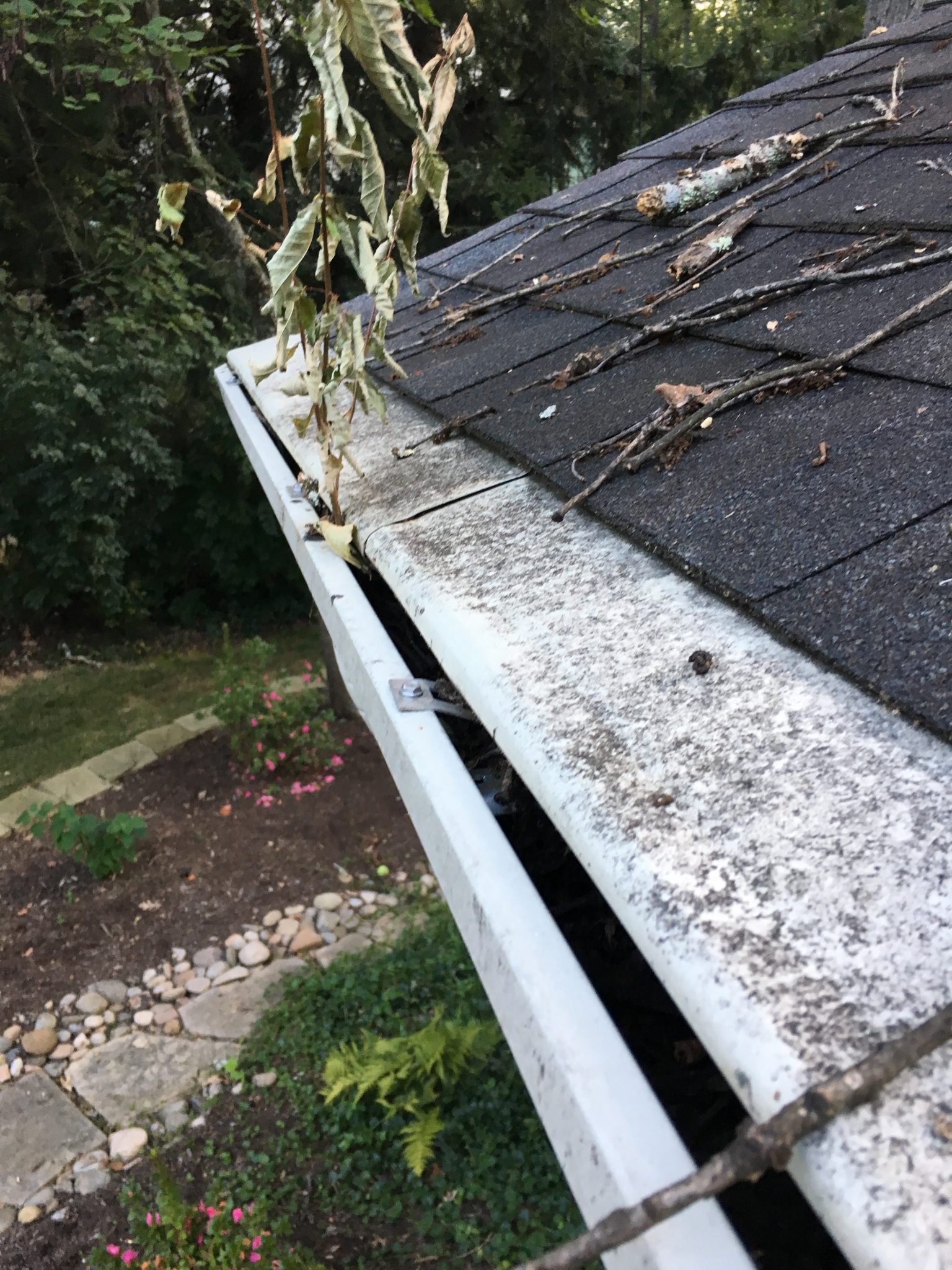Leaf Solution | Gutter Guards Direct