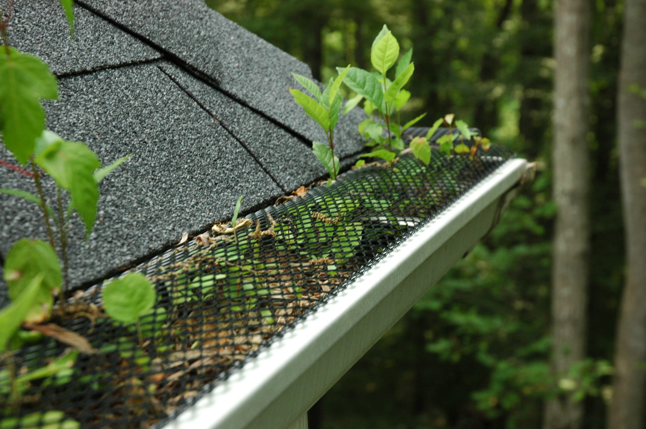 which are the best gutter guards | Gutter Guards Direct