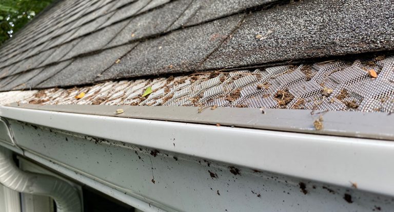 Ultimate Gutter Guards Challenge 2021: Test setting and gutter guards ...