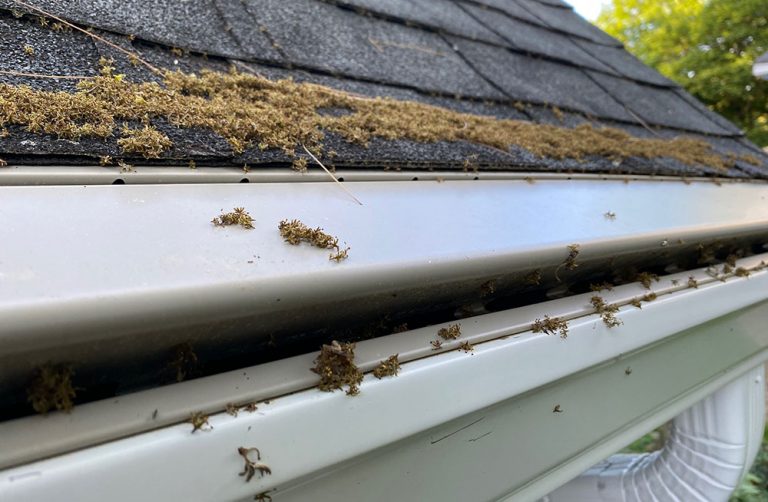 Ultimate Gutter Guards Challenge 2021: Test setting and gutter guards ...