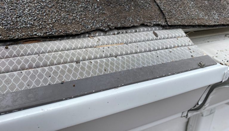 Ultimate Gutter Guards Challenge 2021: Test setting and gutter guards ...