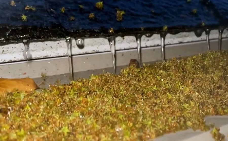 LeafLock | Gutter Guards Direct