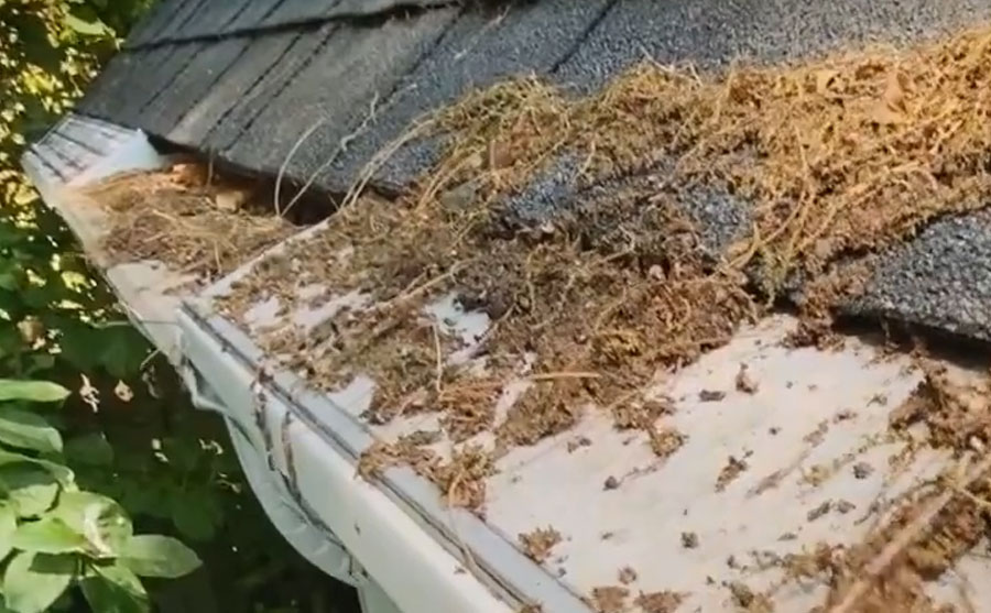 leaves-clogged-gutter-guards | Gutter Guards Direct leaves-clogged-gutter-guards | Gutter Guards Direct